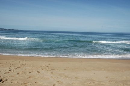 Rip Currents - Walkingangler 🐠